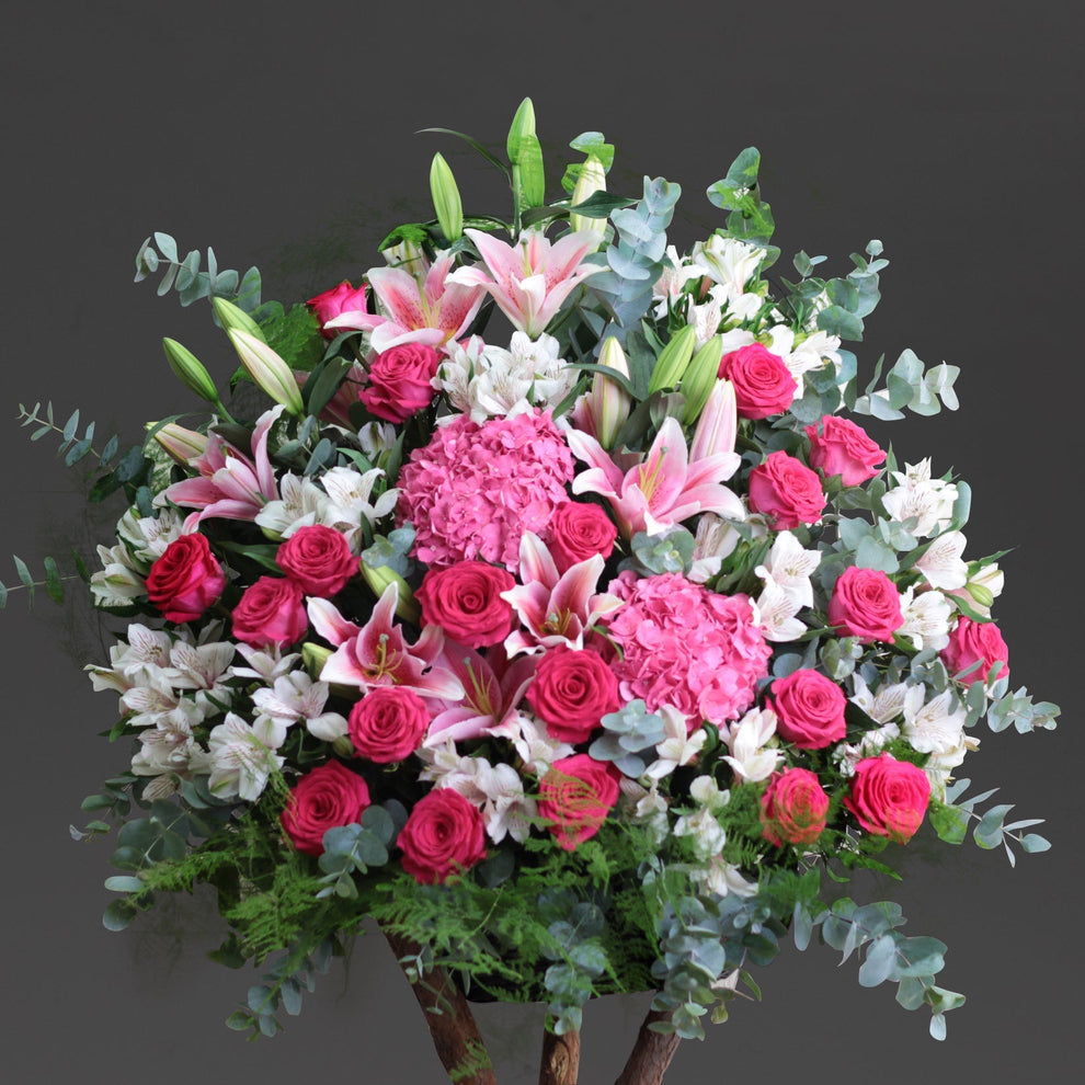Rising star – Pacific Petals